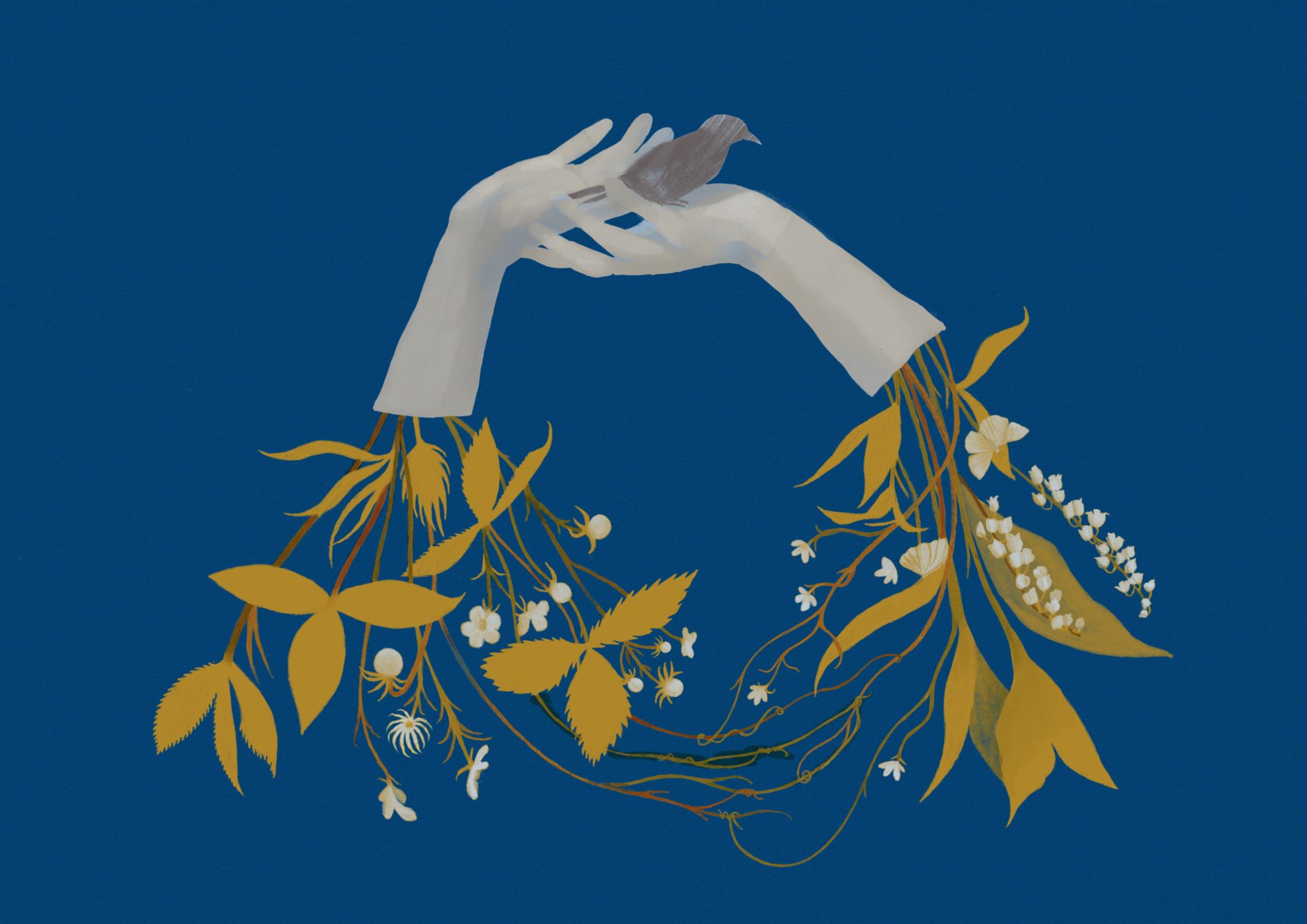 Collaborative power: how hulo transforms humanitarian logistics - Red ...